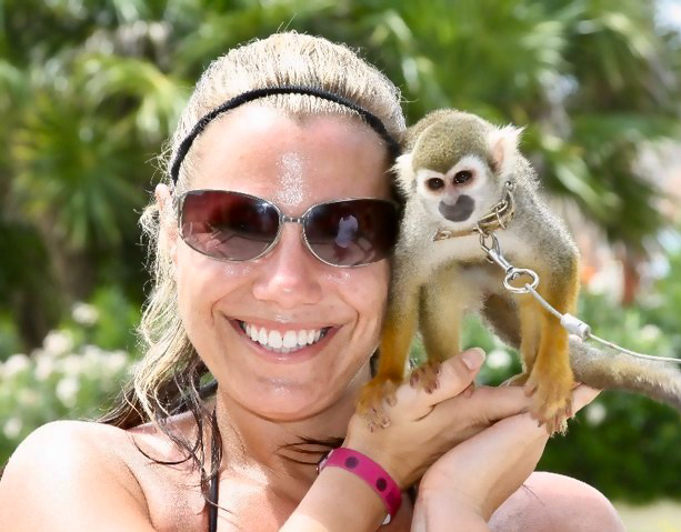 The 5 W’s – How do YOU harness your Monkey Mind? – Behind the Scenery