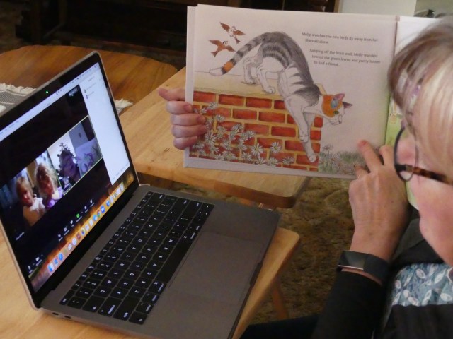 Connections, Chaos and Fun! Reading to Children in the Zoom Room ...