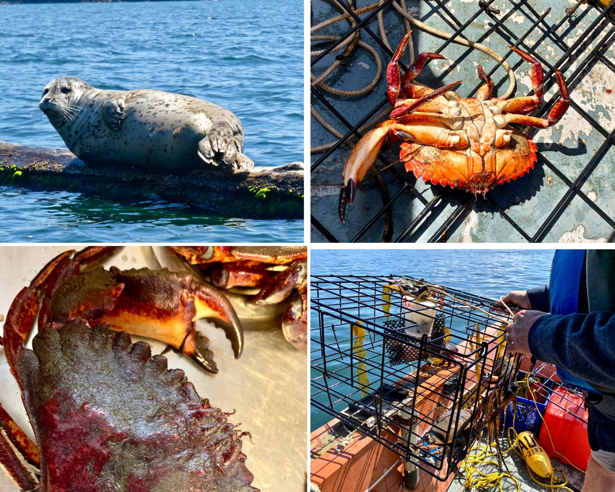 Plenty Of Fish – Behind the Scenery